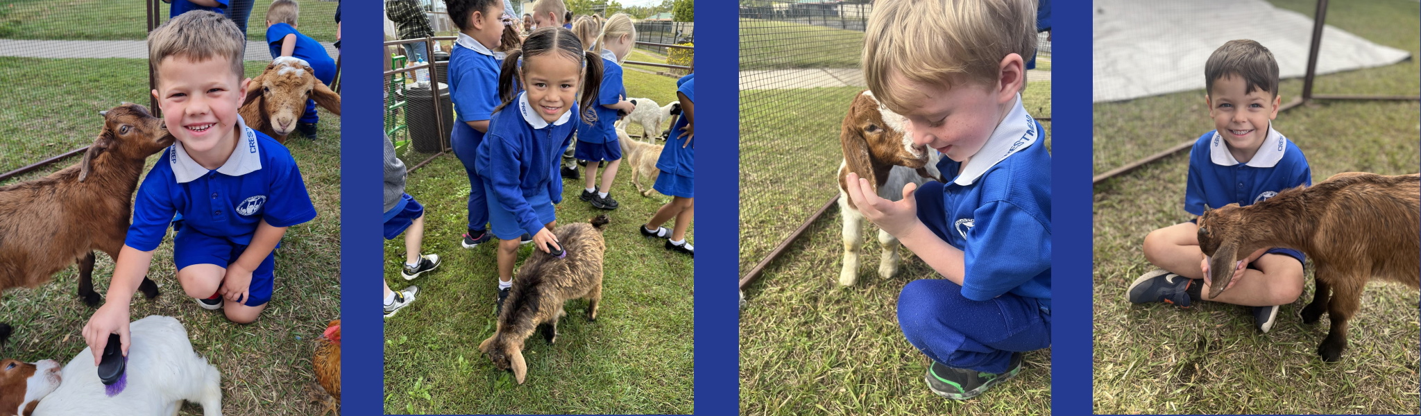 Crestmead State School